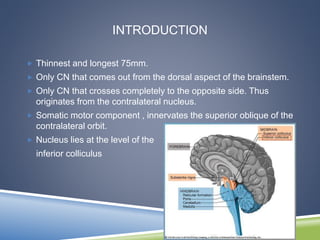 4th nerve palsy | PPTX