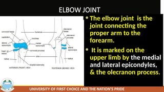 BASIC GROSS ANATOMY OF THE Elbow joint for beginners | PPT