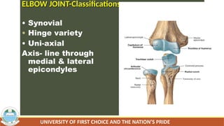 BASIC GROSS ANATOMY OF THE Elbow joint for beginners | PPT