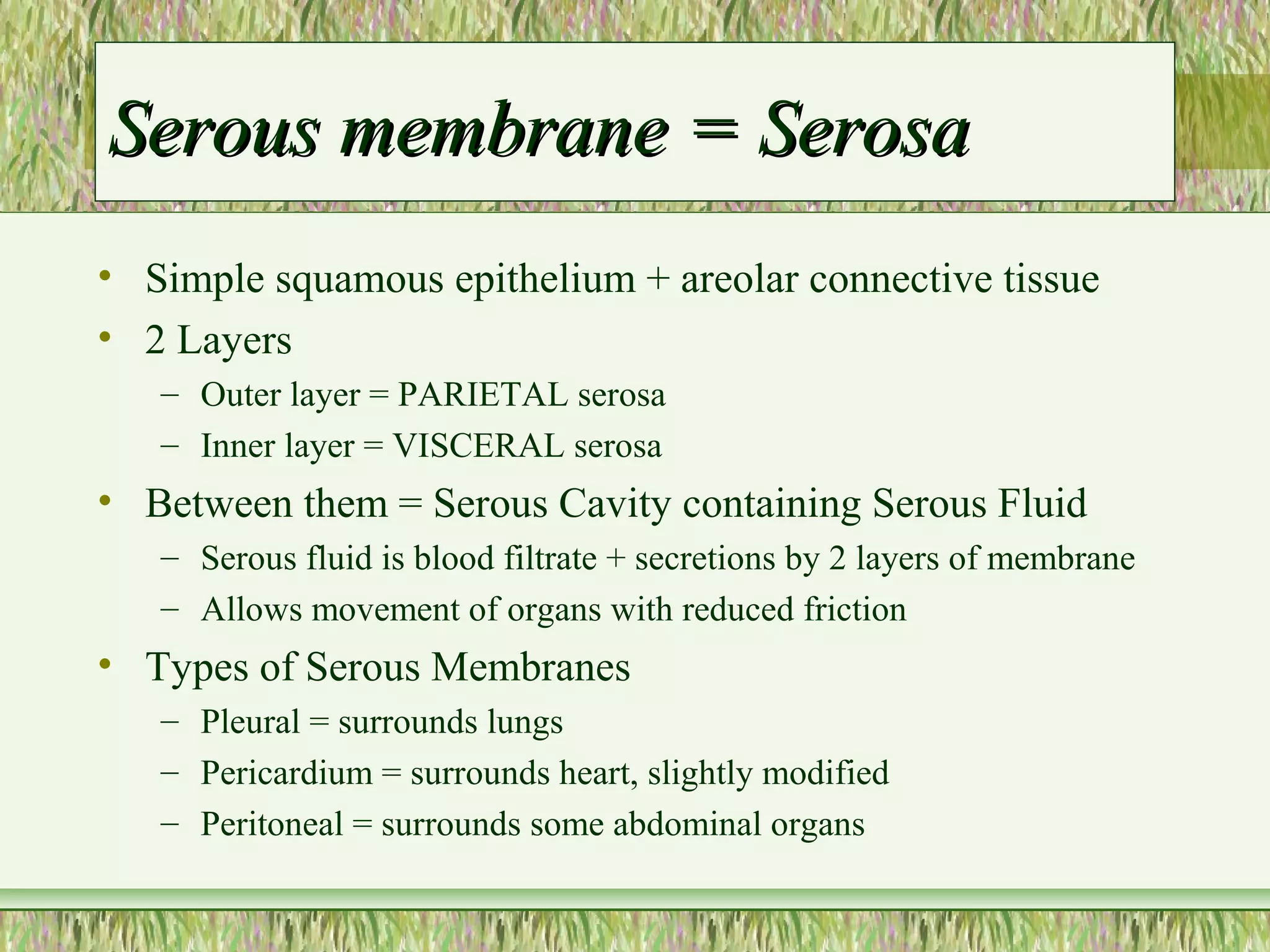 4+-+Thoracic+Cavity+Grays.ppt