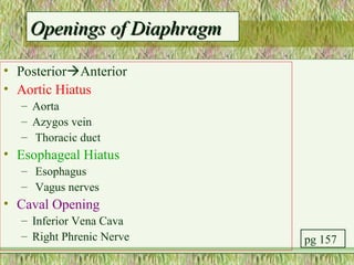 4+-+Thoracic+Cavity+Grays.ppt