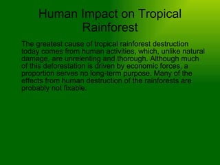 4th Period Tropical Rainforest 2 | PPT