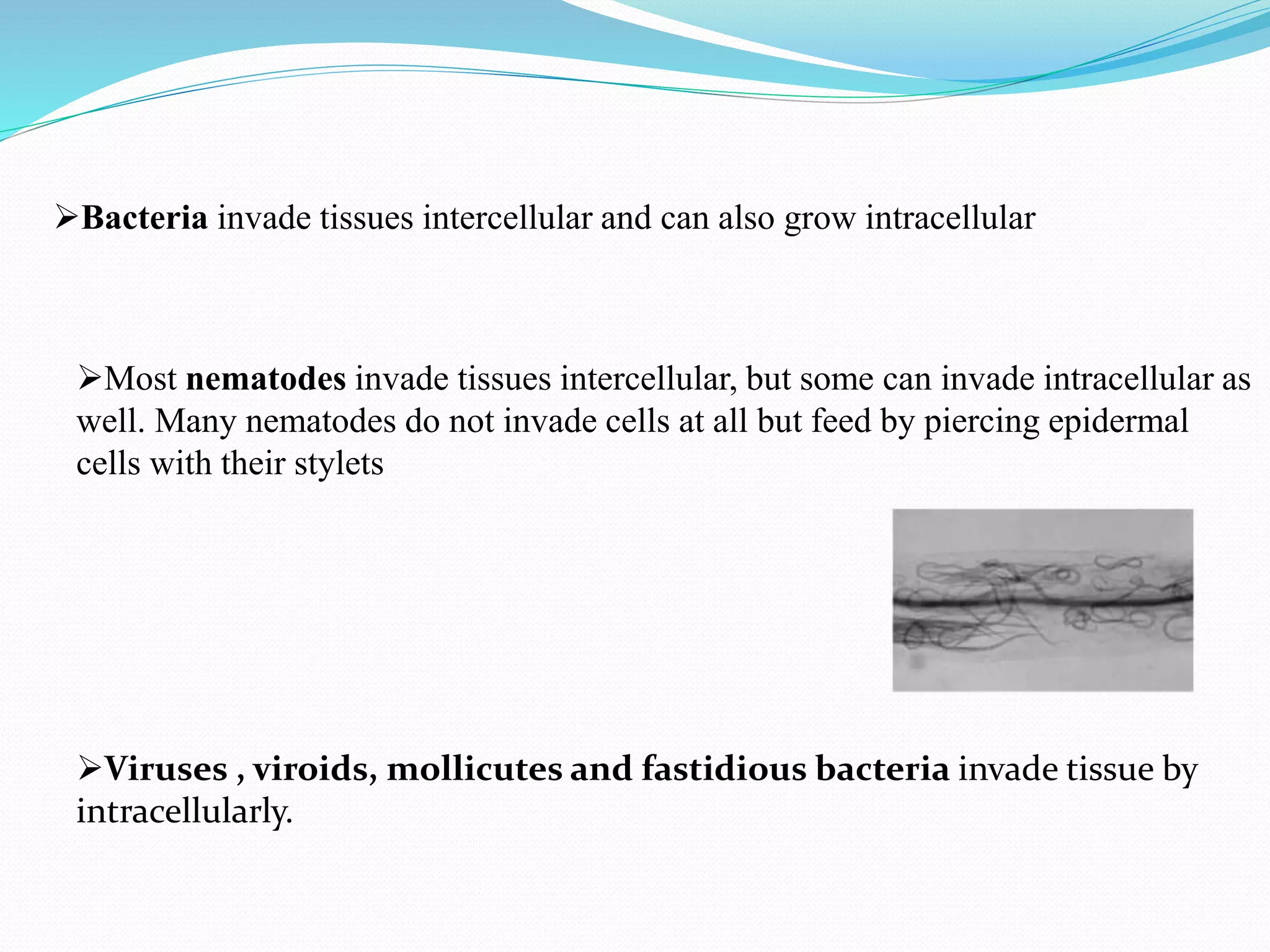 Infection, Invasion, Growth and Reproduction of pathogen | PPTX