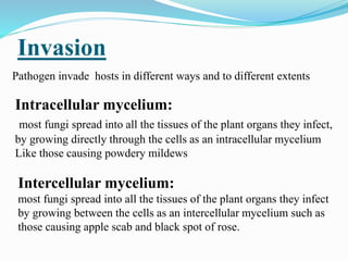 Infection, Invasion, Growth and Reproduction of pathogen | PPTX