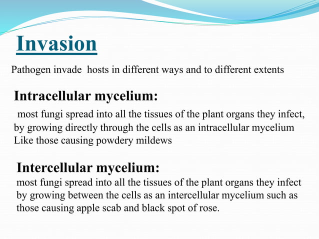 Infection Invasion Growth And Reproduction Of Pathogen Pptx
