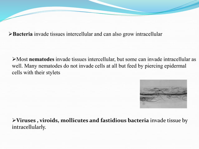 Infection, Invasion, Growth and Reproduction of pathogen | PPTX ...