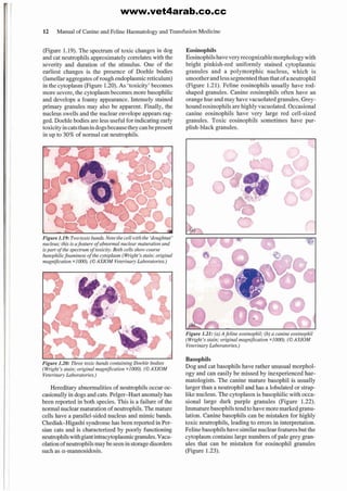 BSAVA_-_Hematology.pdf