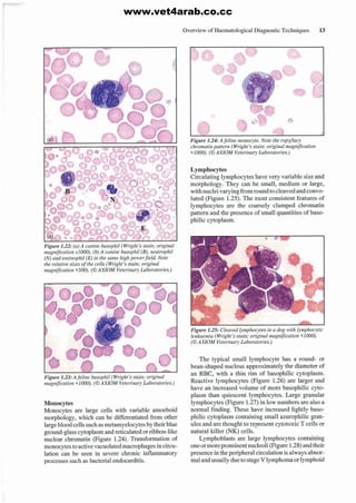 BSAVA_-_Hematology.pdf