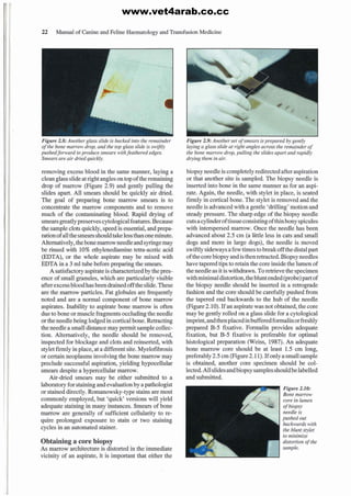 BSAVA_-_Hematology.pdf