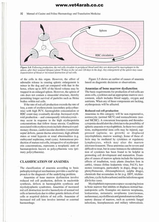 BSAVA_-_Hematology.pdf