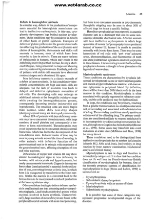 BSAVA_-_Hematology.pdf