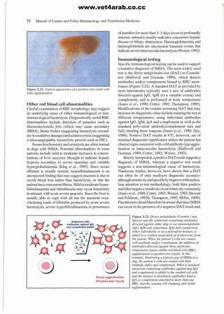 BSAVA_-_Hematology.pdf