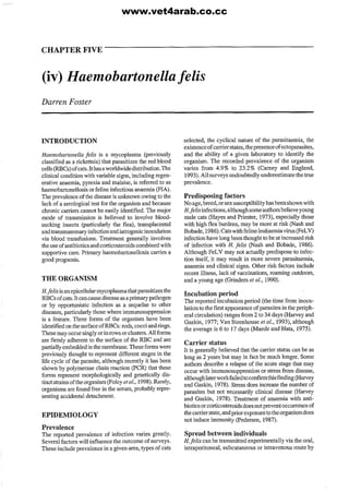 BSAVA_-_Hematology.pdf