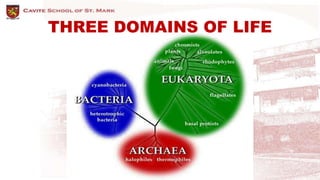 Taxonomic Classification | PPTX