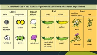 4th Quarter_Lesson 1_Science 10.pptx