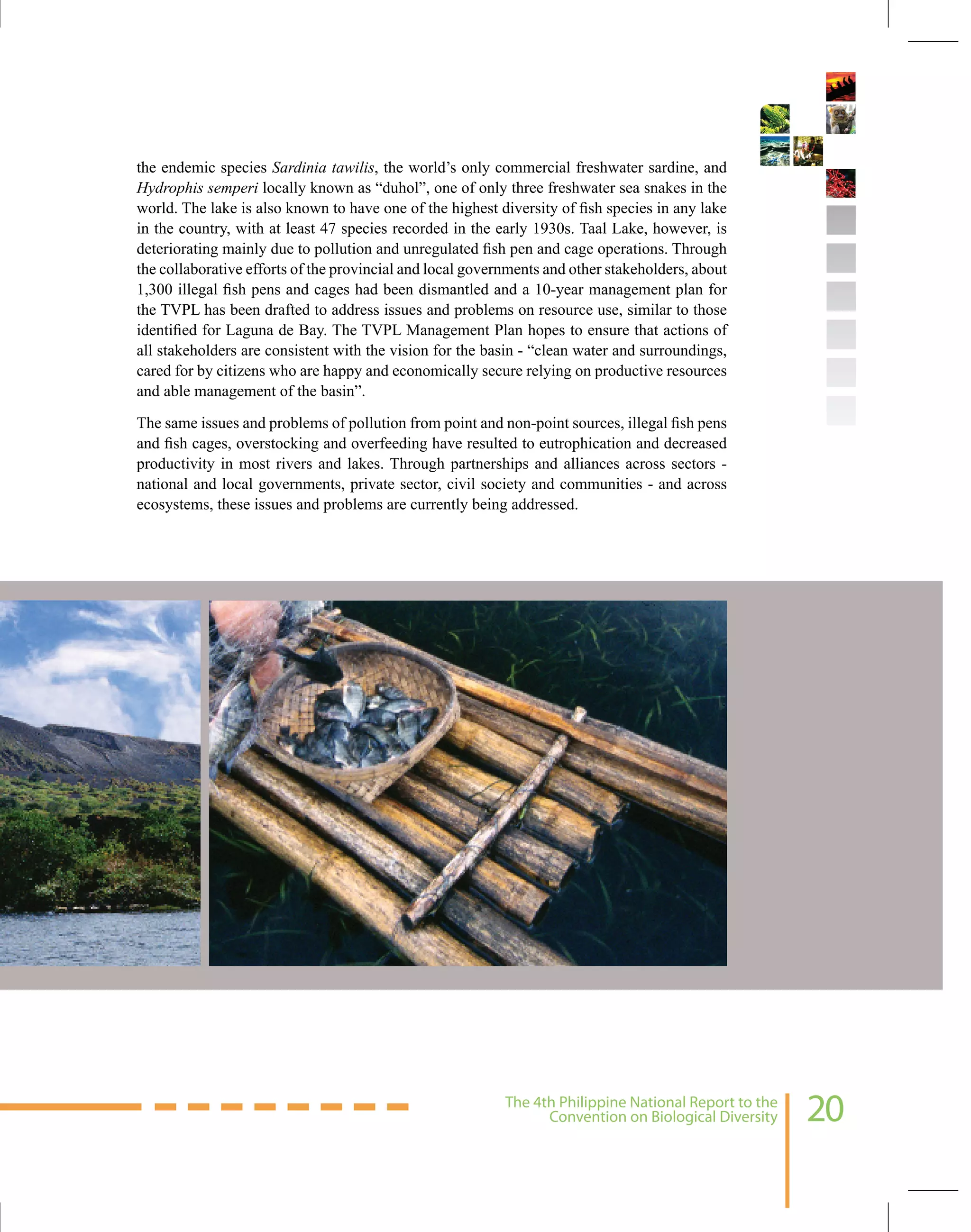 The 4th Philippine National Report to the Convention on Biological ...