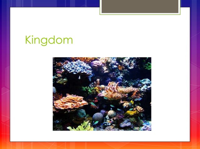 4th science unit 1 p4 | PPTX