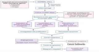 4th sem- neoplasia 7.pptx neoplasia pathology | PPTX