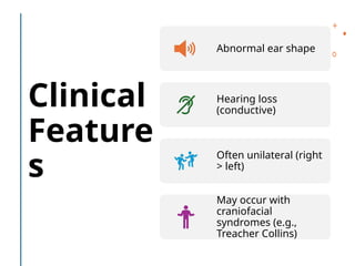 Nursing Management of Patients with Disorders of Ear, Nose, and Throat ...