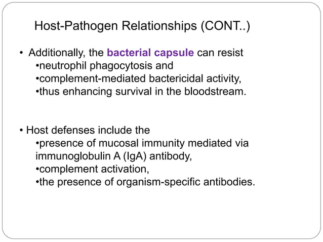4th sem BMLS CNS - Copy.pptx