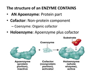 ENZYME BIOCHEMISTRY | PPTX