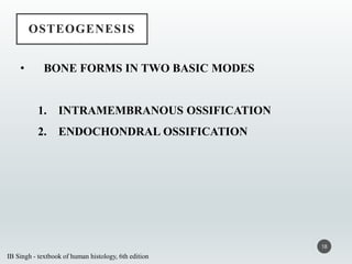 4TH SEMINAR bone physiology.pptx