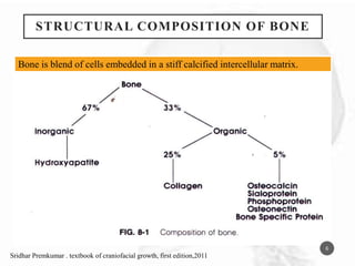 4TH SEMINAR bone physiology.pptx