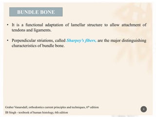 4TH SEMINAR bone physiology.pptx