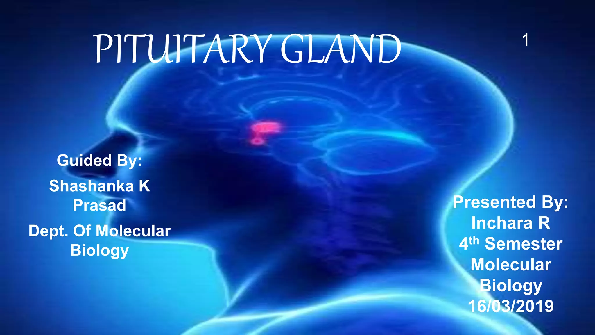 Pituitary Gland | PPT