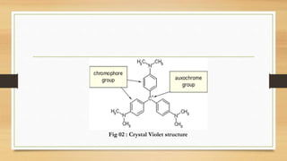 Gram staining & structural Staining | PPTX | Chemistry | Science