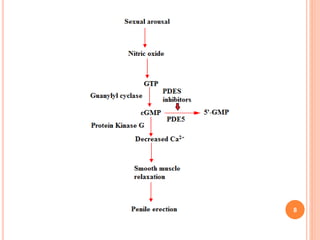 4th unit drugs for erectile dysfunction | PPTX
