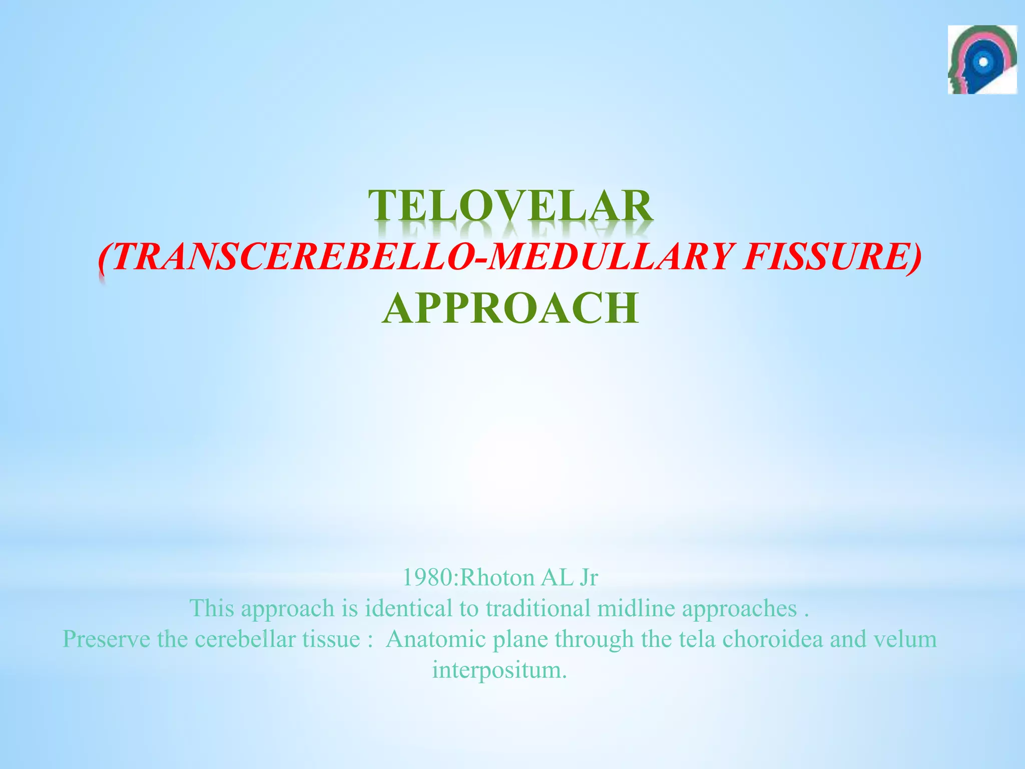 4 th ventricle- Anatomical and surgical perspective | PPTX