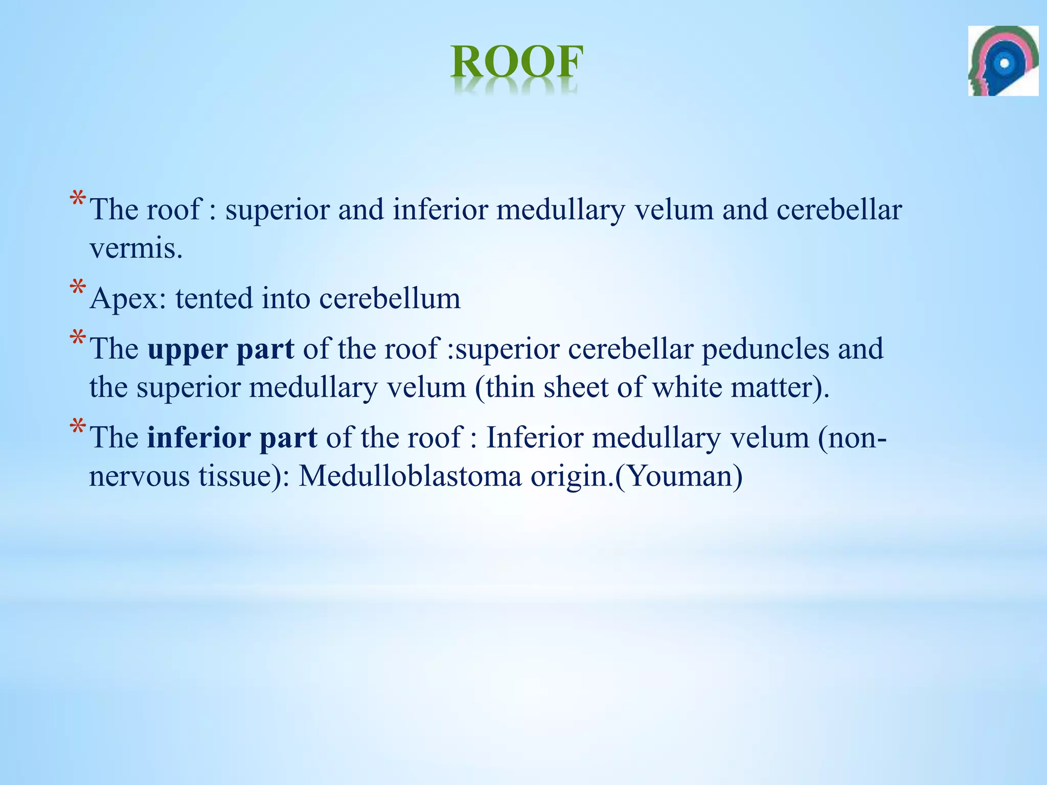 4 th ventricle- Anatomical and surgical perspective | PPTX