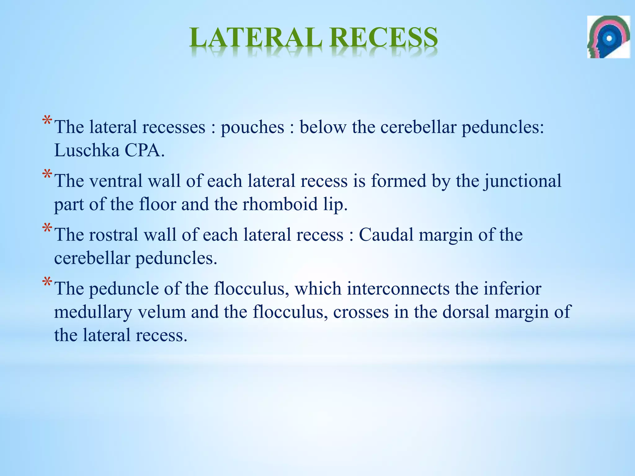 4 th ventricle- Anatomical and surgical perspective | PPTX