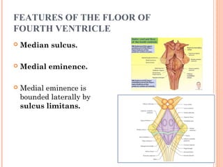 4thventricle.pdf