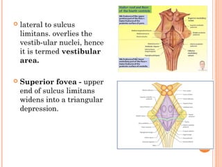 4thventricle.pdf | Brain and Nervous System Disorders | Diseases and Conditions