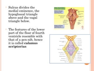4thventricle.pdf | Brain and Nervous System Disorders | Diseases and Conditions