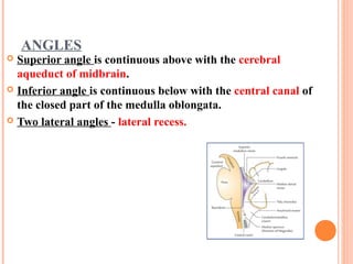 4thventricle.pdf | Brain and Nervous System Disorders | Diseases and ...