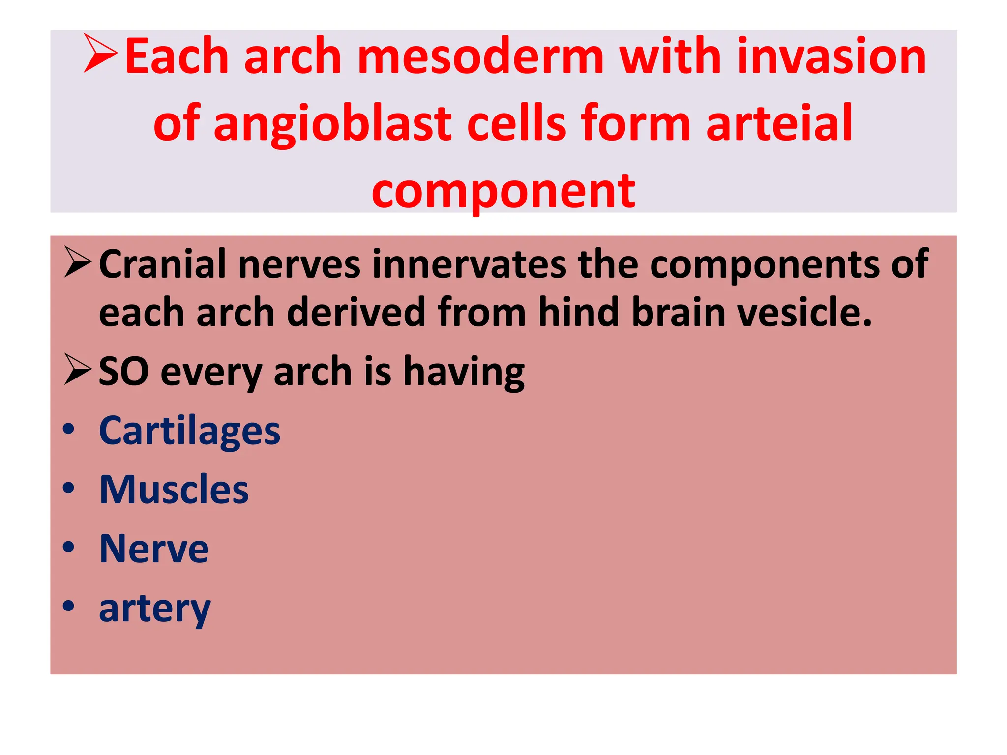 4TH WEEK OF EMBRYO DEVELOPMENT.pptx embryo | PPTX