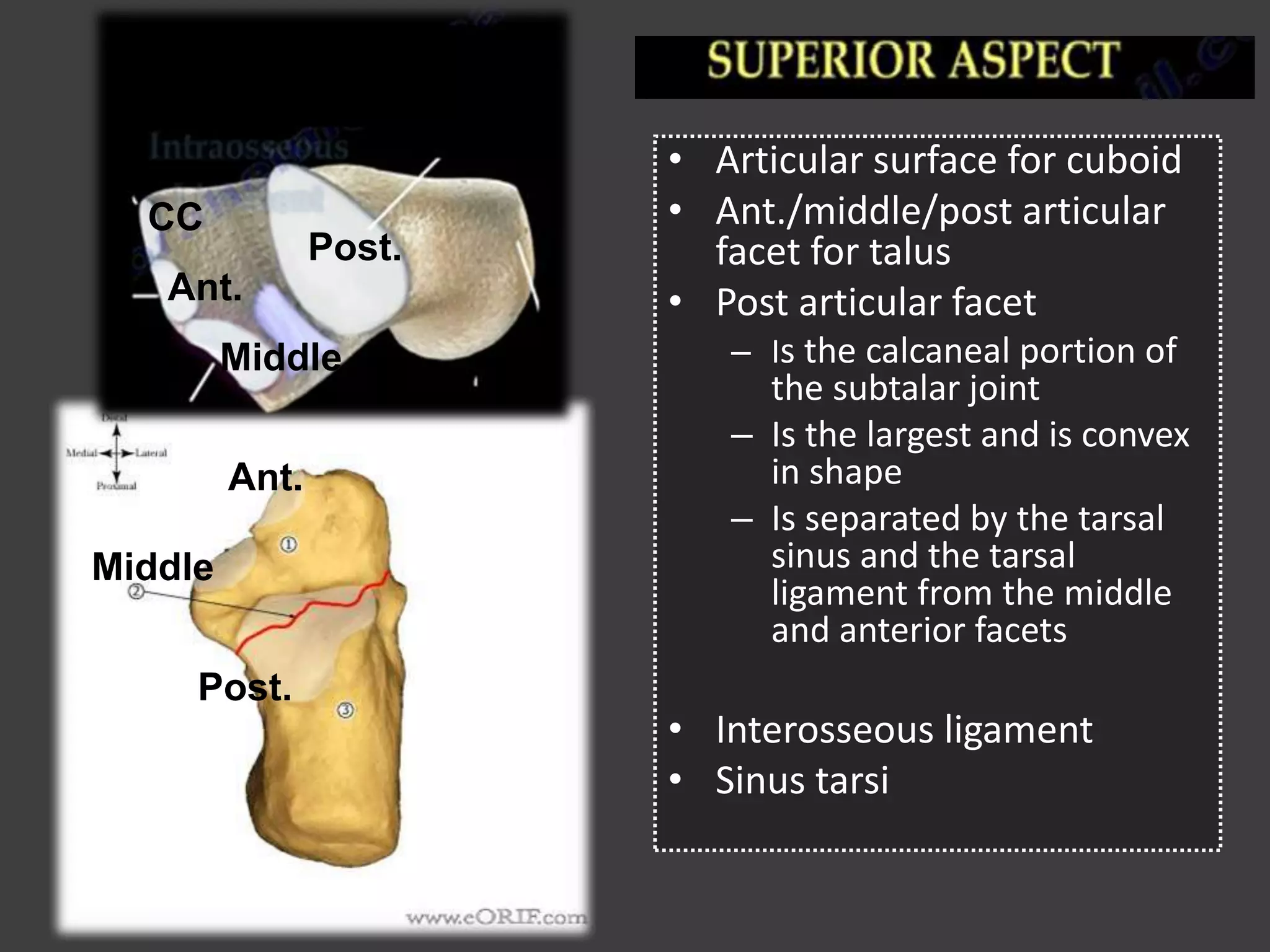 Calcaneal fractures | PPTX