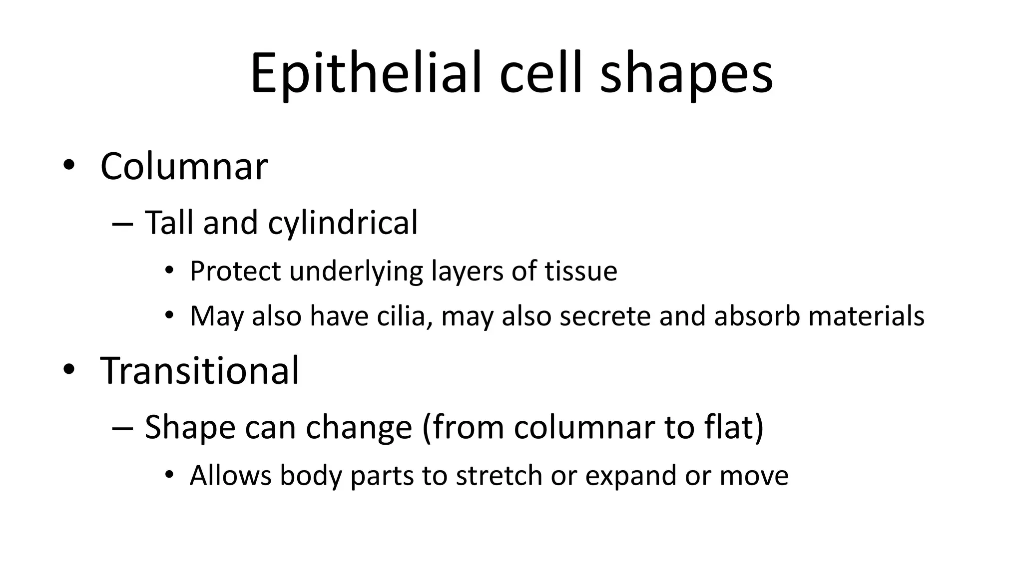 4 tissue types and epithelium | PPTX