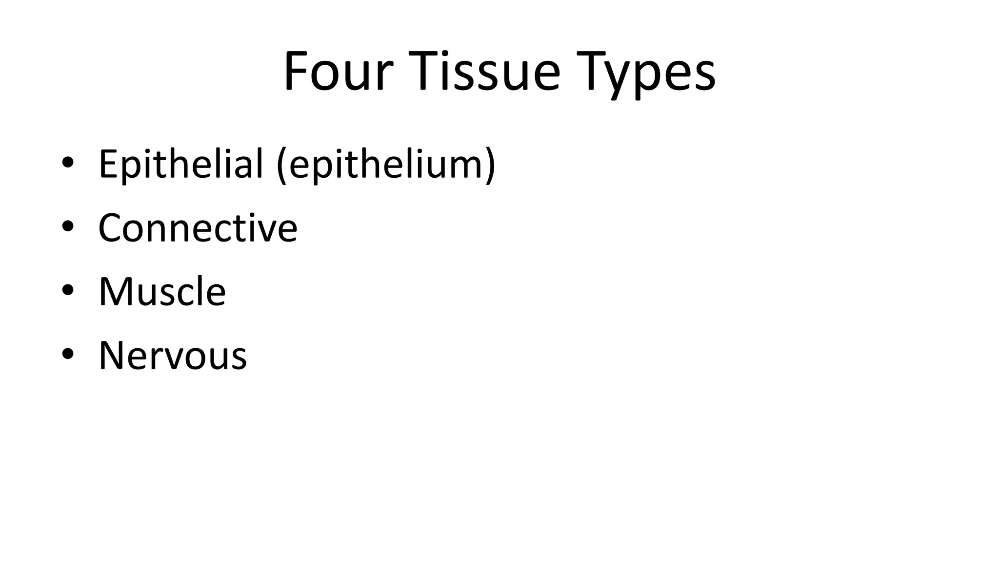 4 tissue types and epithelium | PPTX
