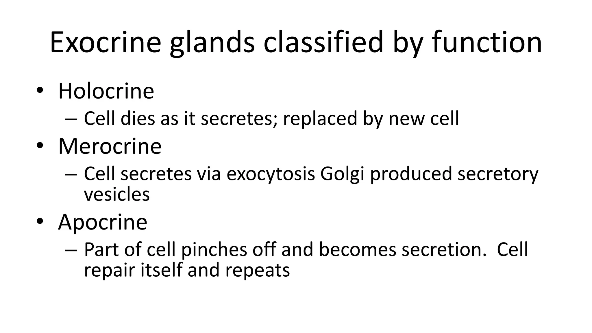 4 tissue types and epithelium | PPTX