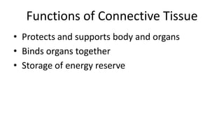 4 tissue types and epithelium | PPTX