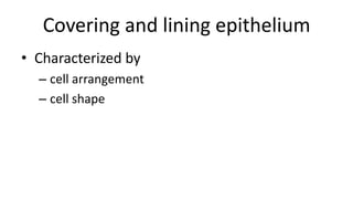 4 tissue types and epithelium | PPTX