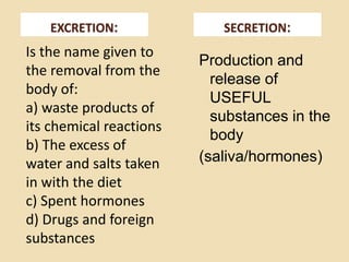 4to 4 excretion | PPTX