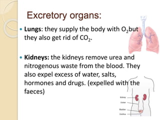 4to 4 excretion | PPTX