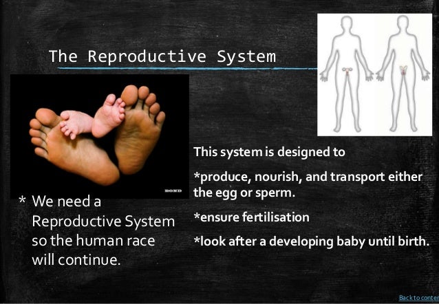 4to 9 human reproduction for students