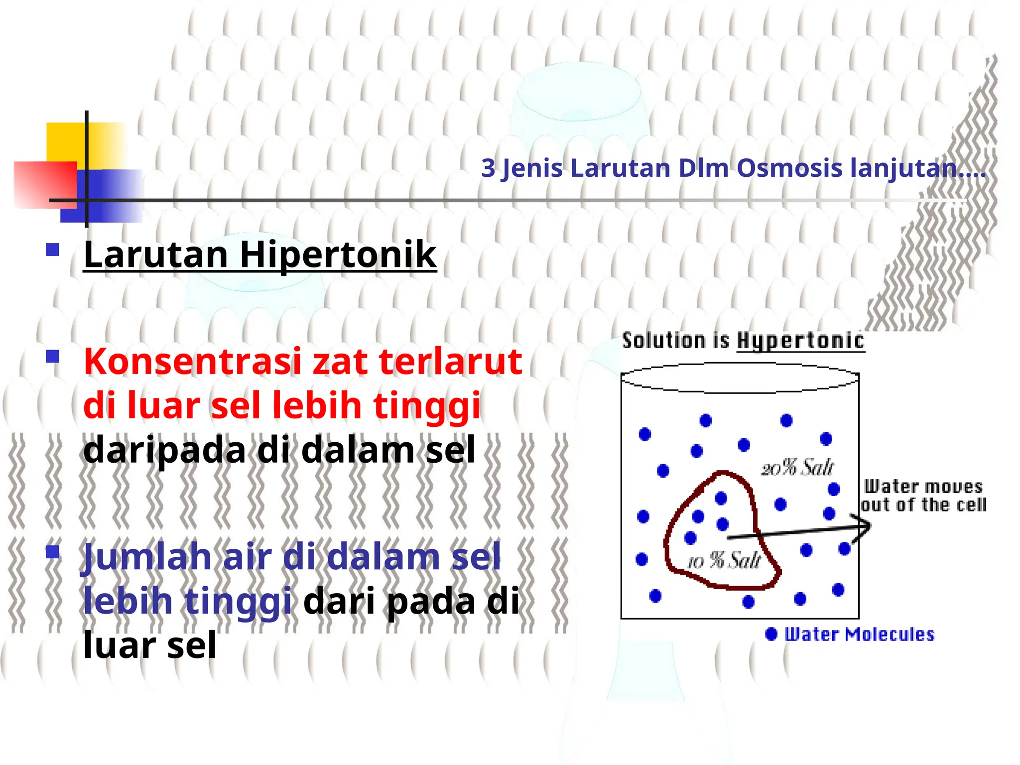 4_Biologi_Sel_Biomedik_Transportasi_sel.ppt