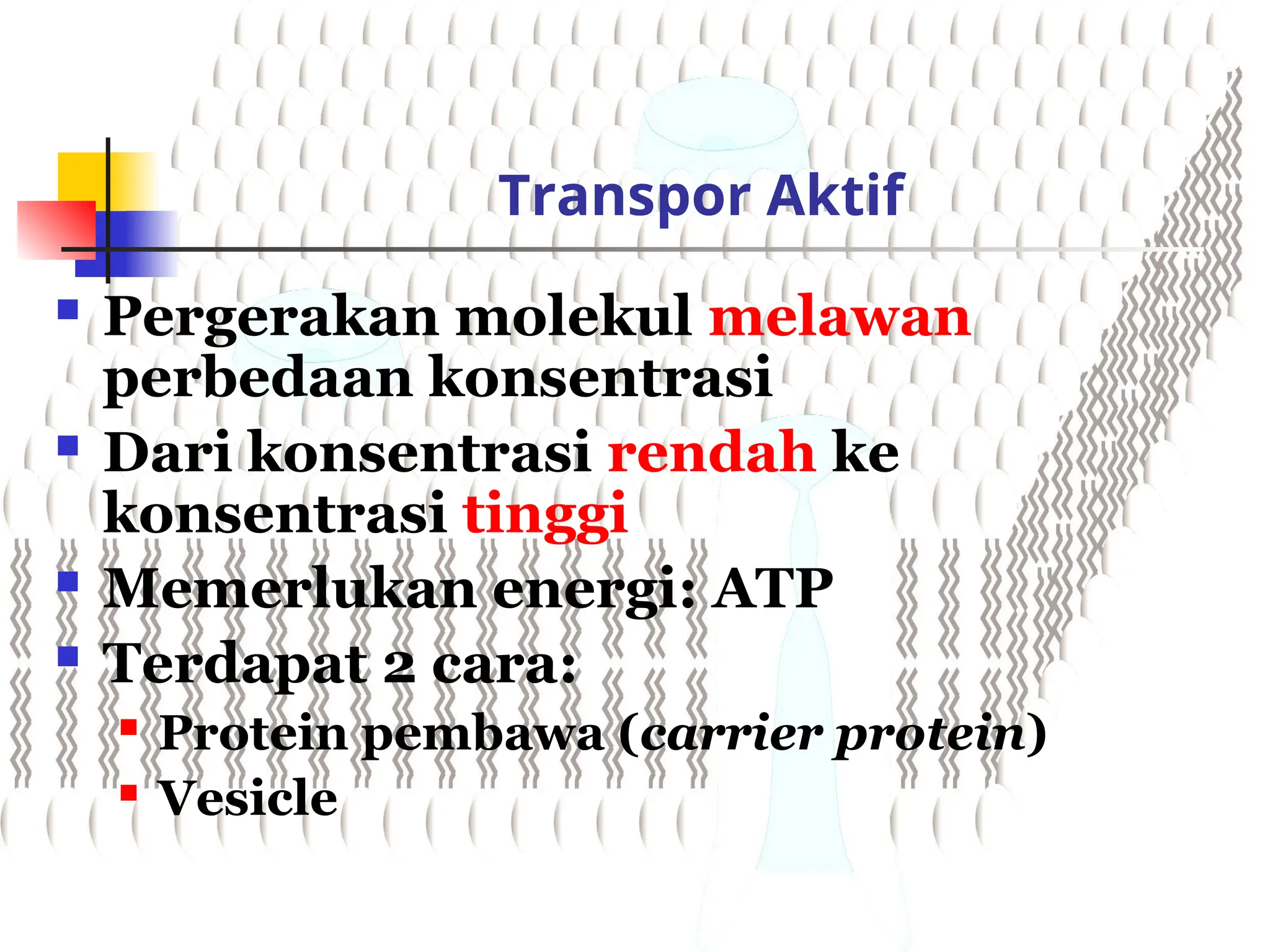 4_Biologi_Sel_Biomedik_Transportasi_sel.ppt